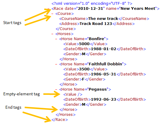Basic XML Terms